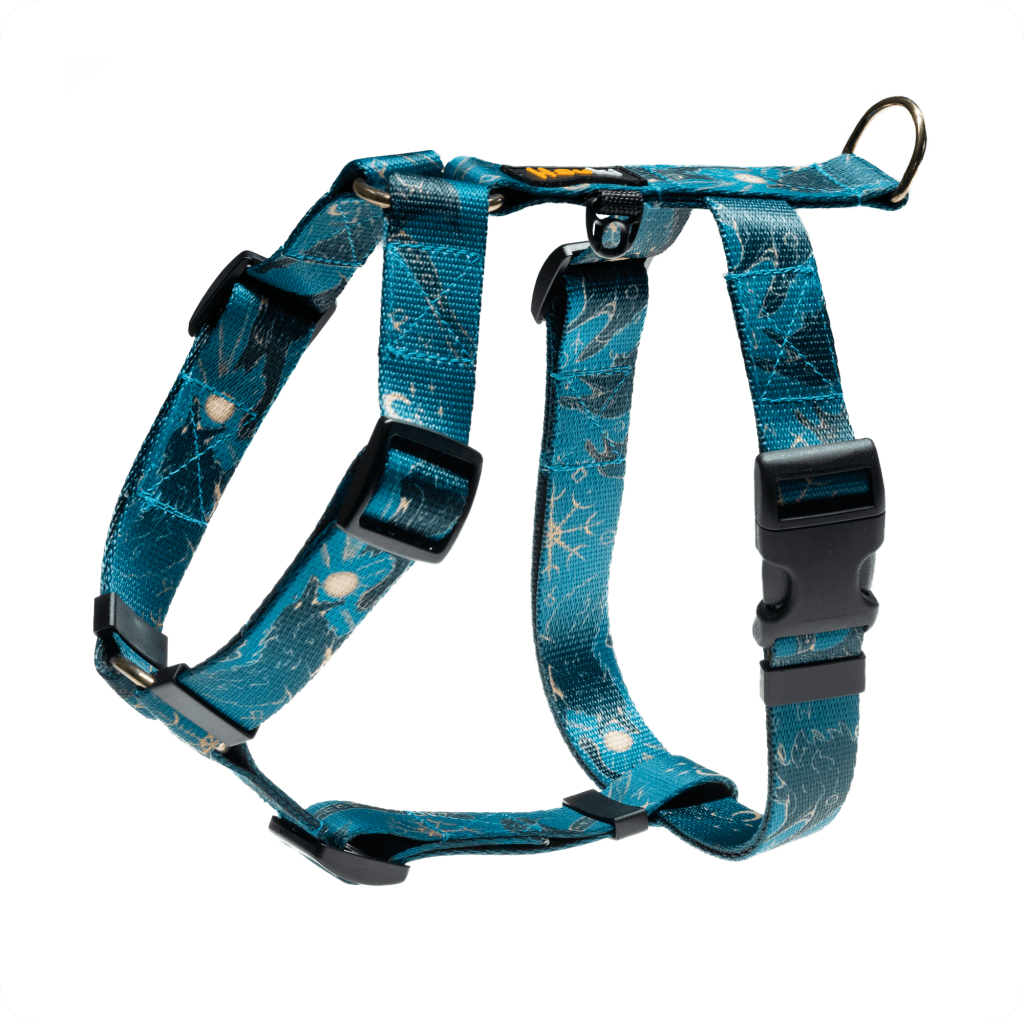 Szelki guard | Szelki typu guard dla psa | Hauki